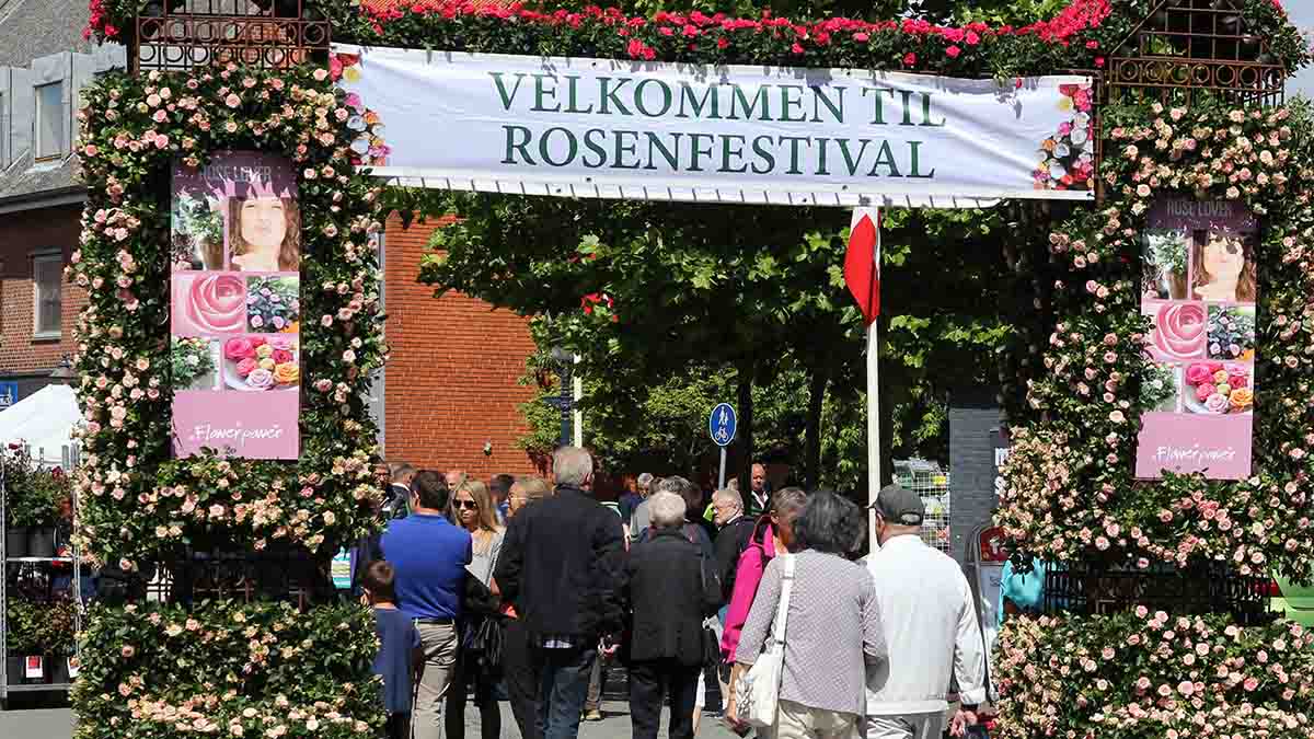 Rosenfestival i Bogense er blevet en succes